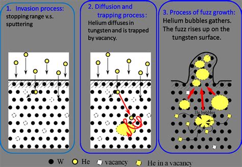 Outlook Chart Of The Fuzz Formation Process Download Scientific Diagram