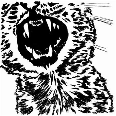 Recordings 2017 Stroppy Kitten