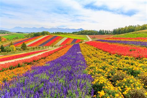 10 Best Things To Do In Hokkaido In Summer 2024 Japan Wonder Travel Blog