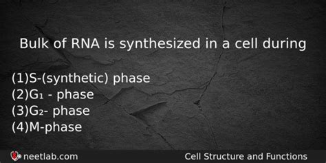 Bulk Of RNA Is Synthesized In A Cell During NEETLab