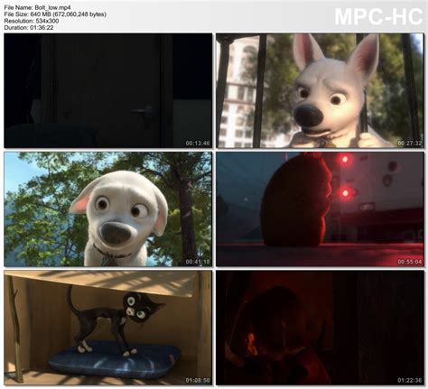 ბოლტი Bolt ქართულად