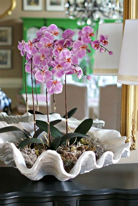 Decorating With Orchids And A Great Trick For Growing Them Orchid