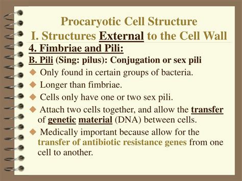 Ppt Chapter 4 Functional Anatomy Of Procaryotic And Eucaryotic Cells Powerpoint Presentation