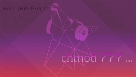 Le Autorizzazioni Ed I Permessi Dei File Linux Read Write Execute