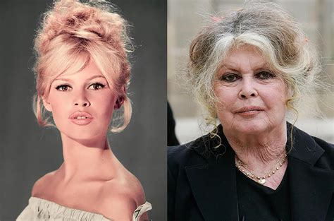 Then And Now What 6 Biggest Sex Symbols Of The 20th Century Cinema Look Like Today