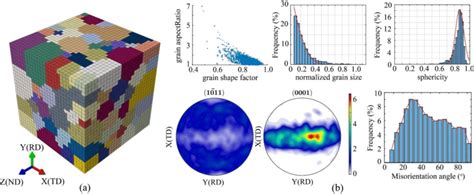 A Reconstructed Microstructure Including 300 Grains B Statistical Download Scientific