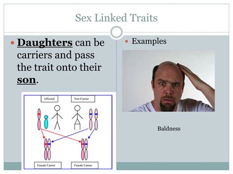 PPT Different Types Of Inheritance PowerPoint Presentation Free Download ID 2226478