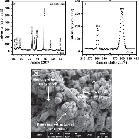 Shows The A Xrd Pattern B Raman Spectrum And C Flowers Corolla Download Scientific