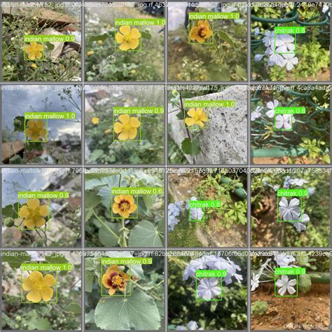 基于yolov10的花卉识别检测，支持图像、视频和摄像实时检测【pytorch框架、python】【yolov10】图像识别花朵 Csdn博客