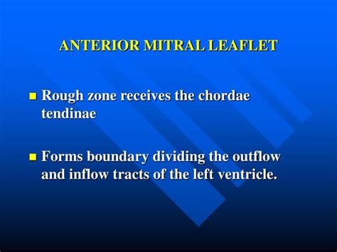 PPT MORPHOLOGY OF THE MITRAL VALVE PowerPoint Presentation ID