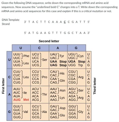 solved given the following dna sequence write down the