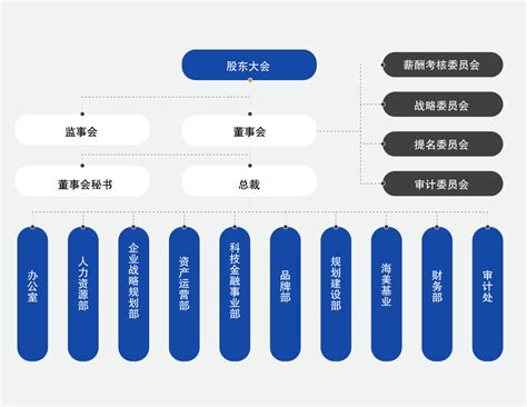 组织架构 走进海美 海美控股