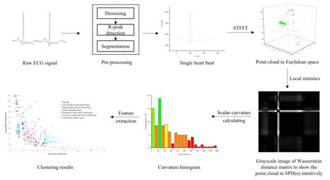 Pipeline Of Wasserstein Scalar Curvature Wscec Download Scientific