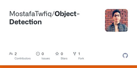 Object Detectioncocodatasetipynb At Main · Mostafatwfiqobject