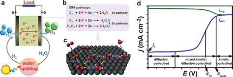A Schematic Illustration Of A Typical H2O2 Fuel Cell With H2 Download Scientific Diagram