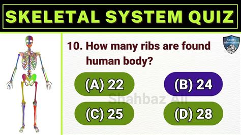 Anatomy Skeletal System Quiz