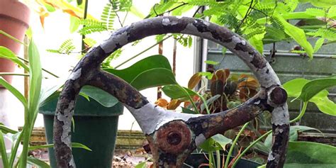 Utilities For Debugging Bootstrap With And Without Aspnet Mvc