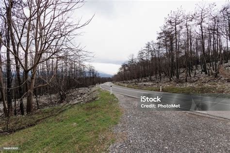 2022년 여름 동안 프리울리 베네치아 줄리아 지역 이탈리아 슬로베니아의 카르스트 고지대에서 발생한 거대한 화재의 여파에 대한 파노라마 전망이 발생했습니다 0명에 대한 스톡