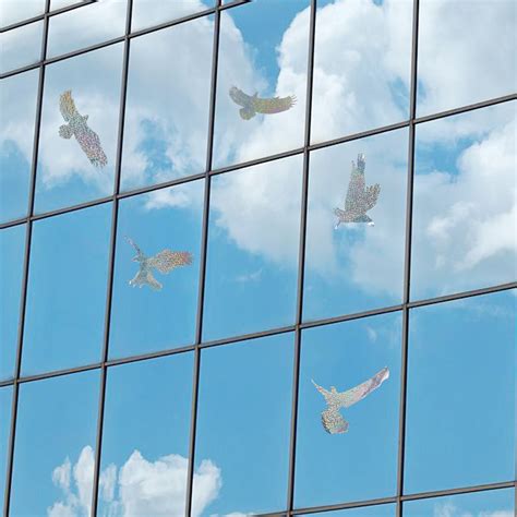 Window Anti Bird Strike Eagle Eacilles