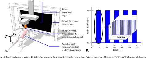 Figure 1 From 3d Functional Ultrasound Imaging Of The Cerebral Visual System In Rodents