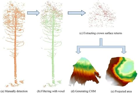 Manually Detected Individual Trees Using The Tls Data A Filtered