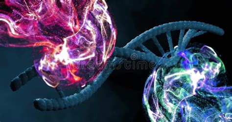 Dna Strand With Colorful Molecular Structures Scientific Data