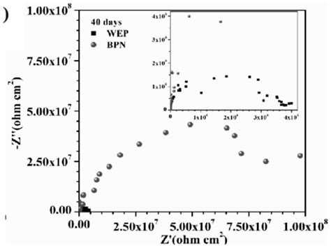 Anticorrosive And Flame Retardant Epoxy Resin Coating And Preparation Method Thereof Eureka