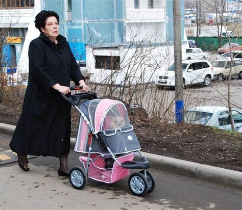 Опубліковані смішні фото про сильних і незалежних жінок Курйози Oboz Ua