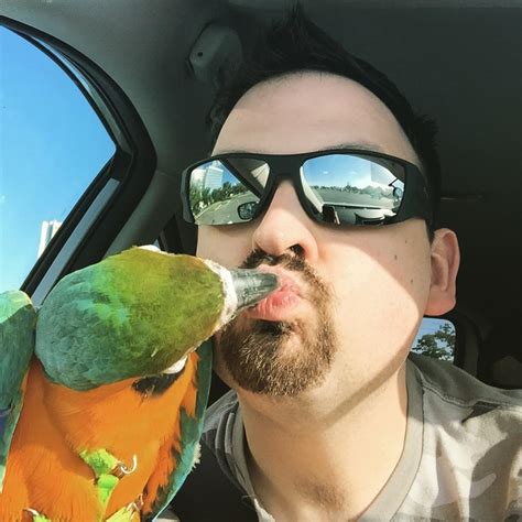 NSFW Parrot Forces Owner To Kiss Graphic R Parrots