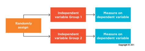 Experimental Design Flashcards Quizlet