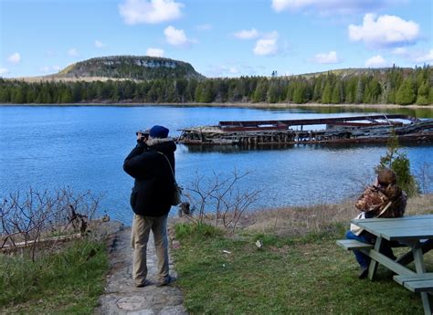 Invasive Species Centre Brown Marmorated Stink Bug Is An Invasive