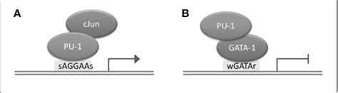 Figure 1 From Analysis Of Genomic Sequence Motifs For Deciphering