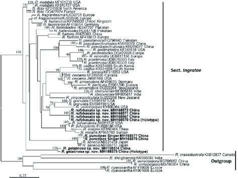 Phylogram Generated From Maximum Likelihood Ml Method Based On Rdna Download Scientific