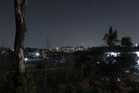 若宮 住吉神社 神社Blog