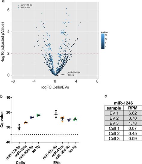 Rna‐seq Results And Rt‐qpcr Verification Of Ev‐associated Mirnas A Download Scientific