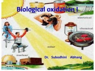 Biological Oxidation I Pptx Chemistry Science