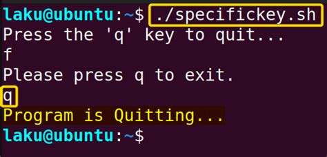How To Wait For User Input In Bash With 4 Practical Examples