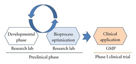 Dynamic Bioprocess Optimization This Dynamic Interaction Between The Download Scientific