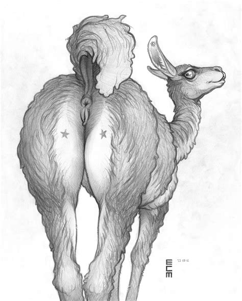 Rule 34 2023 Animal Genitalia Anus Camelid Crotchboobs Dock Ecmajor