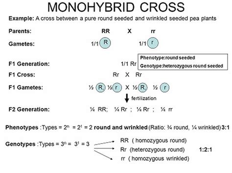 mendelian inheritance non mendelian inheritance