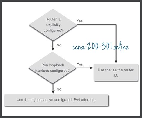 OSPF Router ID CCNA