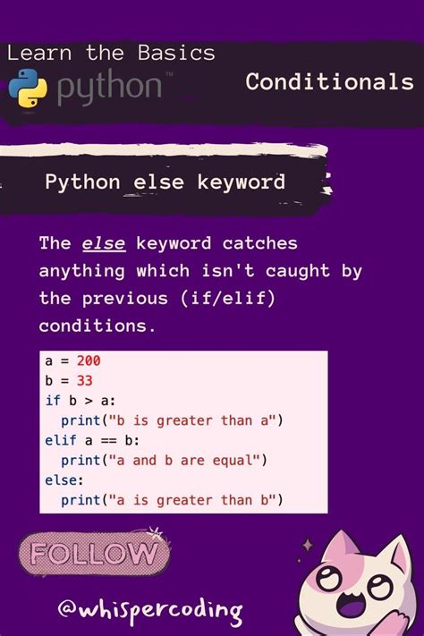 Coding For Beginners Python Learn The Basics Conditionals