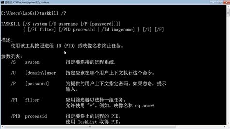 Dos命令taskkill图文教程，使用映像名称或pid结束exe进程批处理 哔哩哔哩