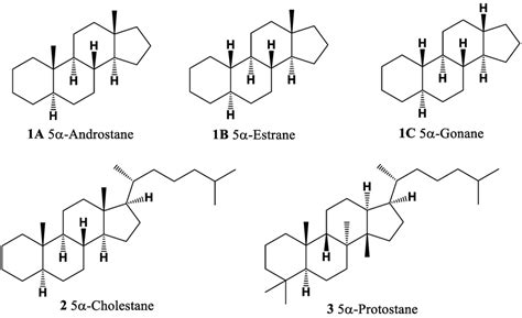 Steroid Structure Steroids Molecule Carbon Position Molecular Or Skeletal Definition Britannica