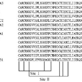 Multiple Alignment Of The Amino Acid Sequences Of The Doublesex Male Download Scientific