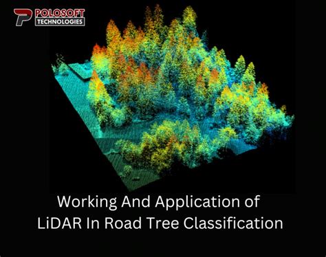 Working And Application Of Lidar In Road Tree Classification Blog