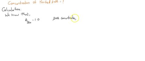 Solved An A260 Of 1 0 Indicates The Dna Sample Contains 50 Ug Ml Of Dna The Absorbance Of A