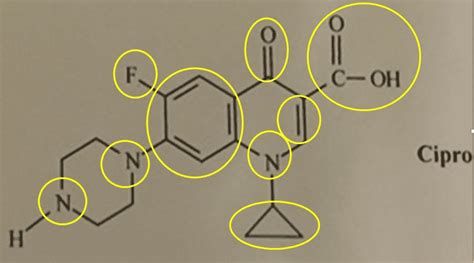 Oneclass 2 Cipro® Ciprofloxacin Is A Synthetic Broad Spectrum Antibacterial Agent It Was Oneclass 2 Cipro® Ciprofloxacin Is A Synthetic Broad Spectrum Antibacterial Agent It Was