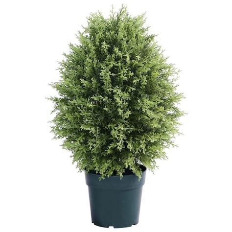National Tree Company 32 Artificial Cypress Tree In Dark Green Round Growers Pot Qlys8 32 The