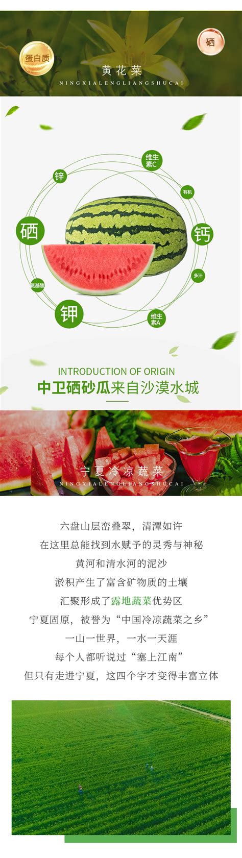 宁夏品质中国行银川站 六特产业之冷凉蔬菜热销全国的高原美味 知乎